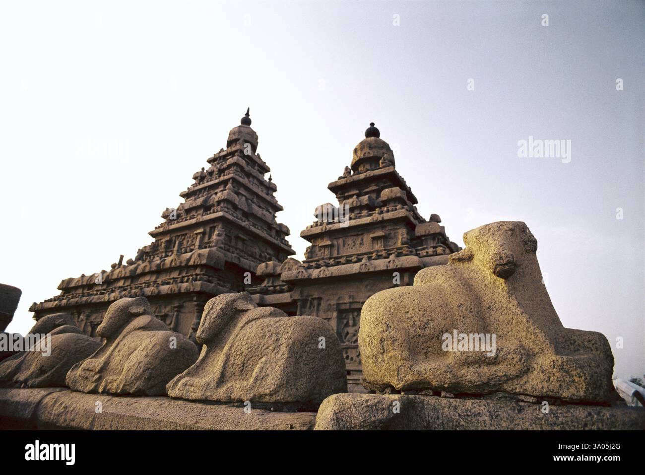 Mahabalipuram beach temple, Mahabalipuram, Tamilnadu, India, Asia Stock ...