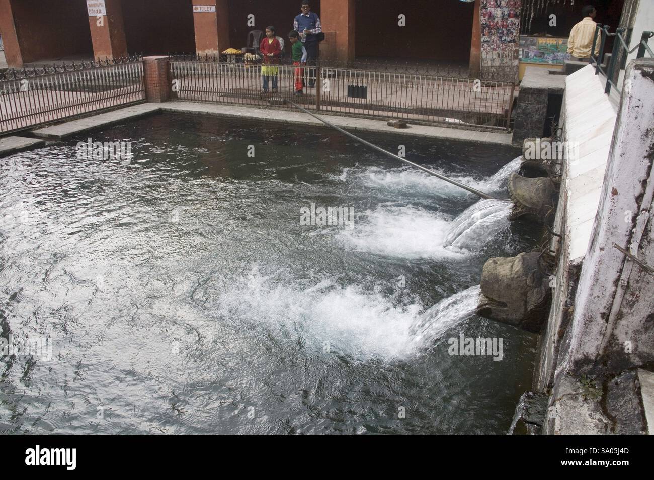 Himalayan spring, water flowing into a tank near Bhagsunath temple ...