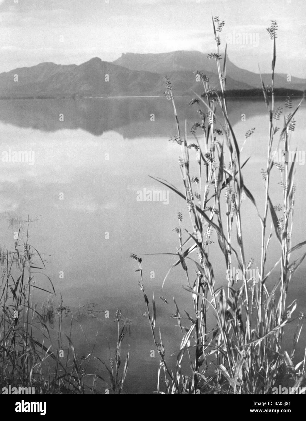 Tansa lake with water and hills, Bombay Mumbai, Maharashtra, India 1940 ...