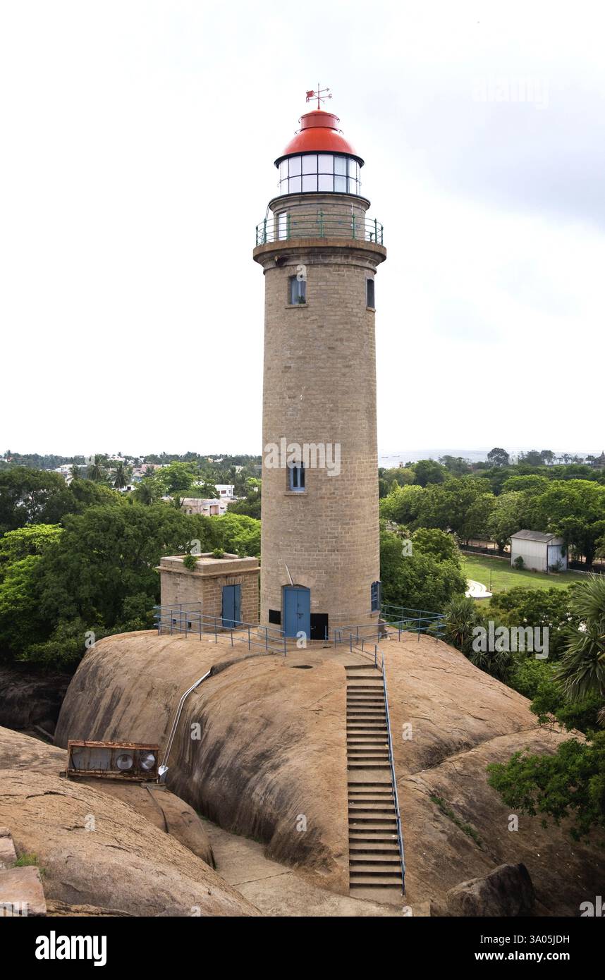 Vegetable, snake-gourd, trichosanthes-cucumerina, hanging, Bombay ...