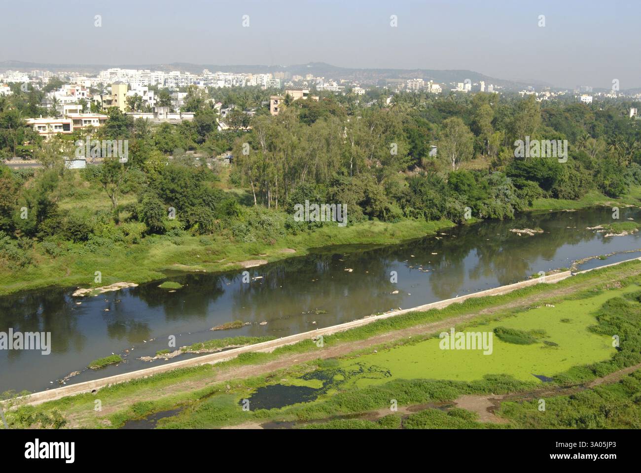 Modern housing complexes and dense greenery at the bank of river Mutha ...