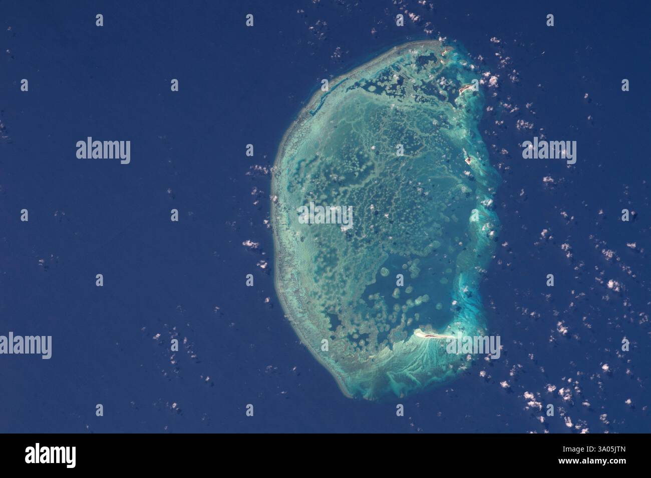 Scorpion reef mexico hi-res stock photography and images - Alamy