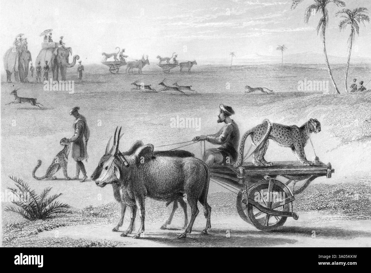 Hunting motif Black and White Stock Photos & Images - Alamy