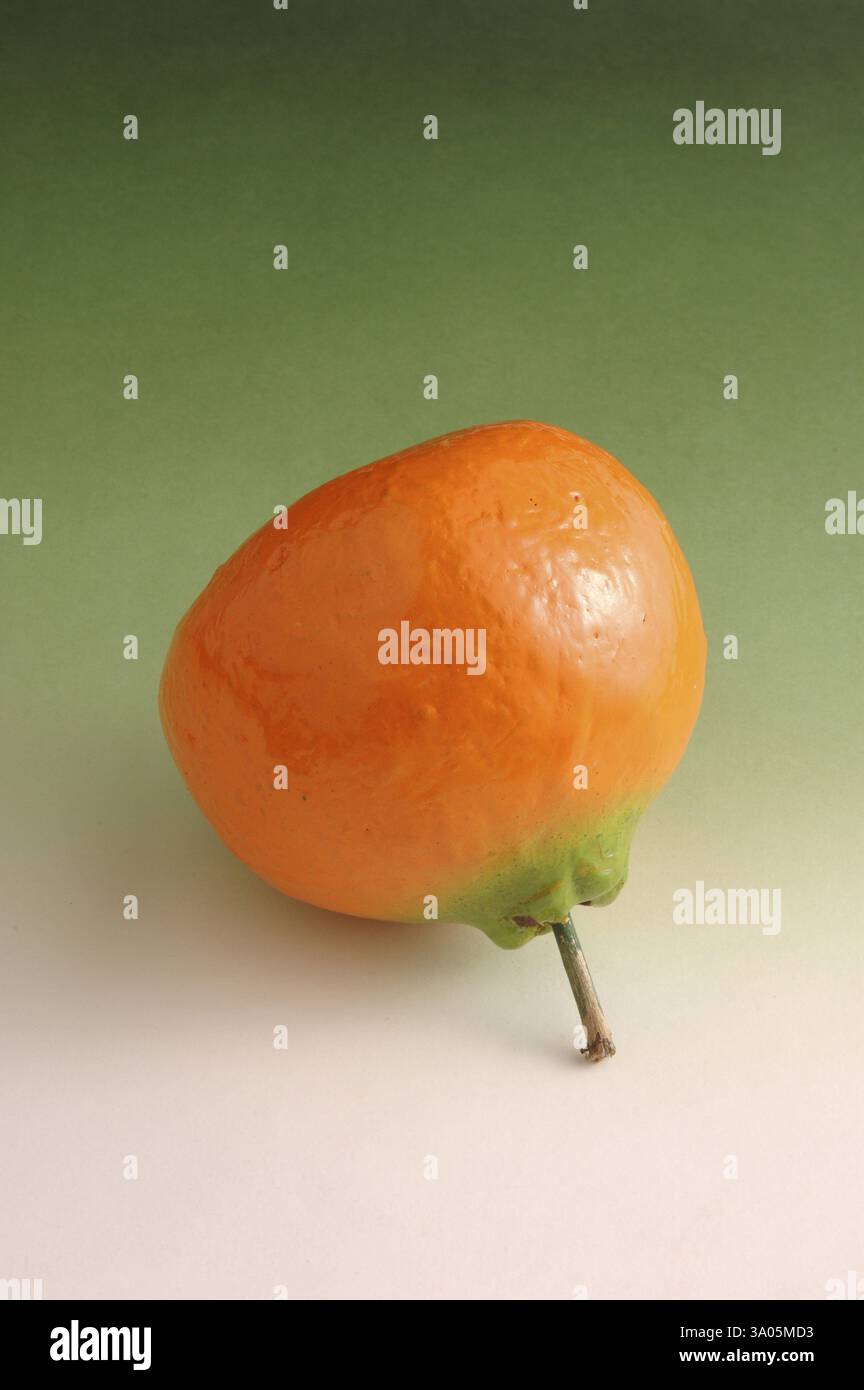 Fruit English Name Mandarin Orange Botanical Name Citrus reticulata ...
