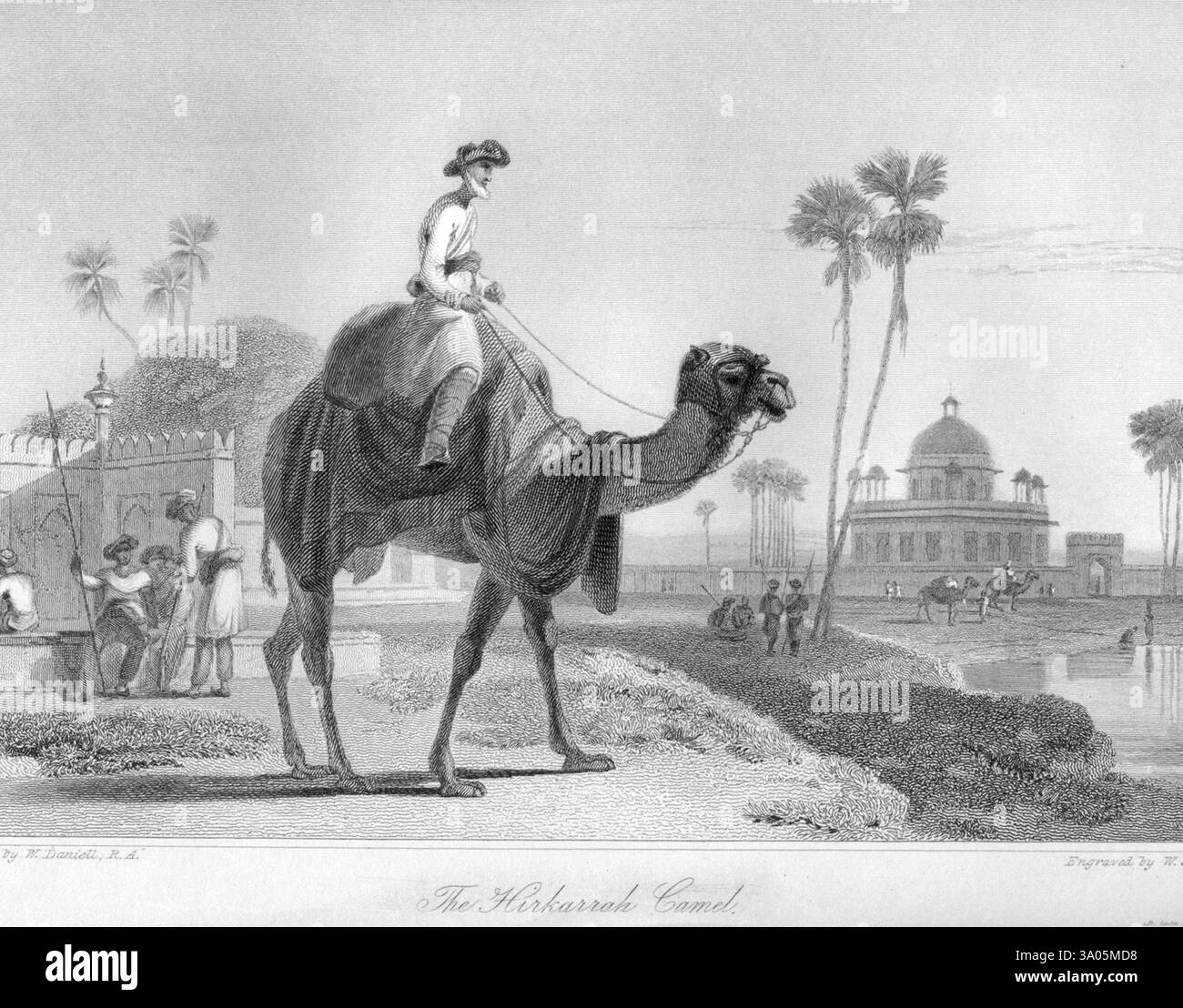 Camel motifs hi-res stock photography and images - Alamy