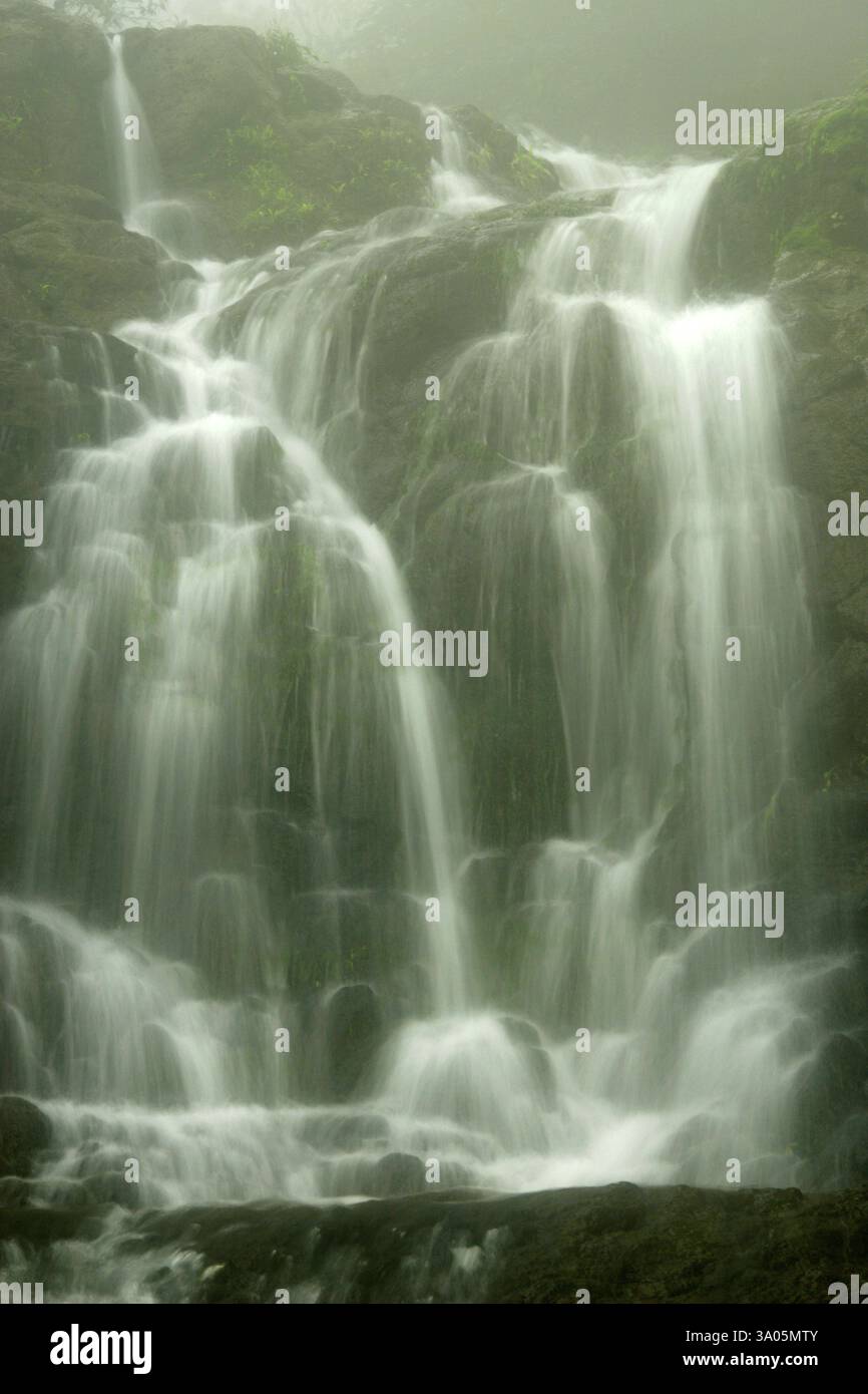 Natural beauty of cascading white waterfalls in monsoon, Mahableshwar ...