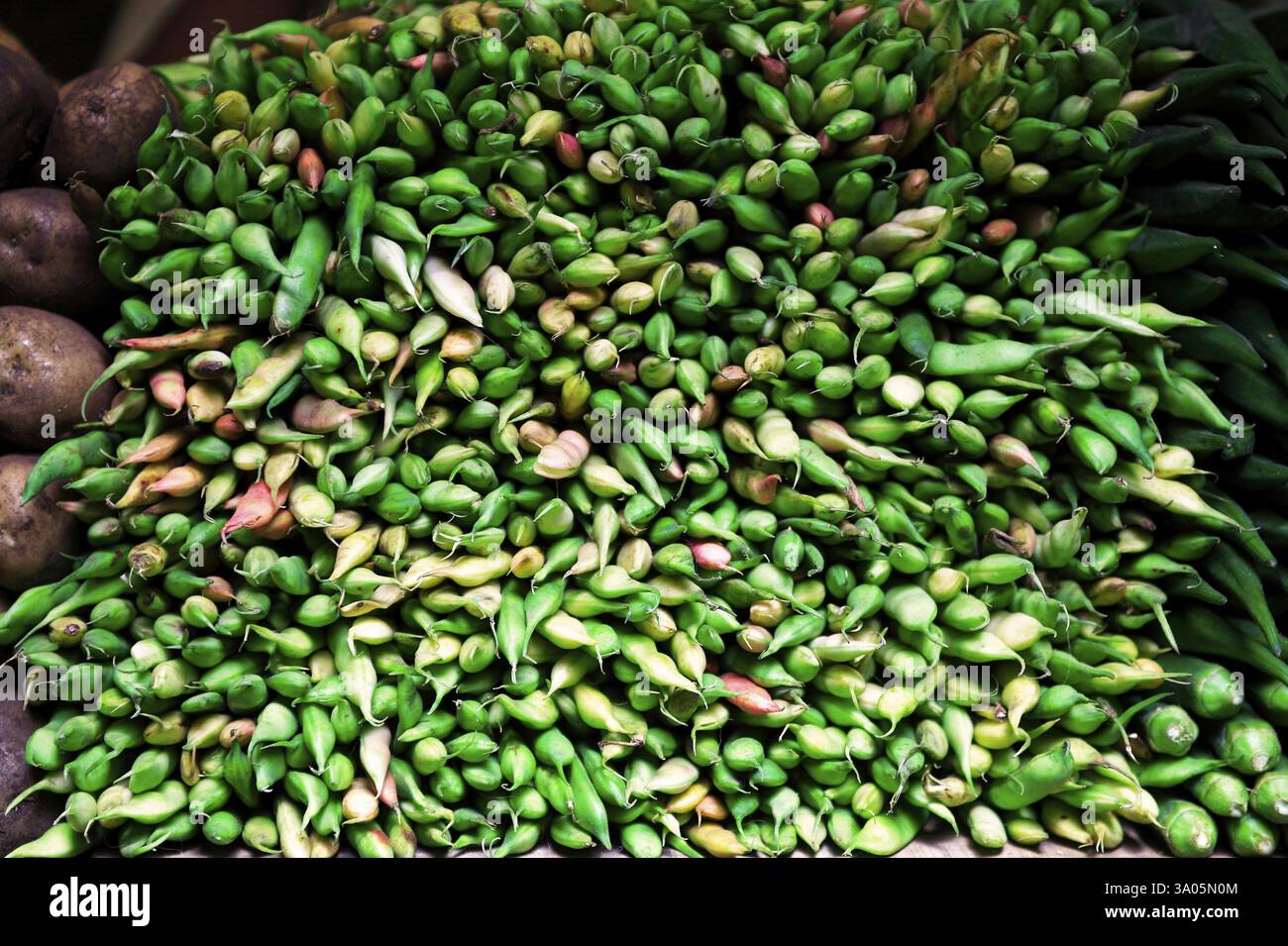 Vegetables, French beans, Munnar market, Kerala, India, Asia Stock ...