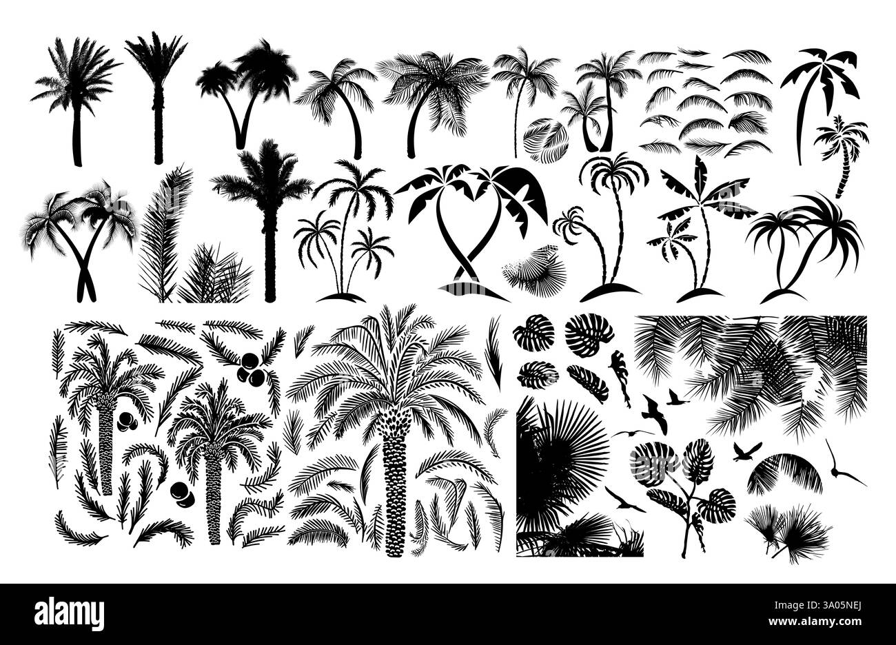 Hand drawn vintage Hawaii beach palms, Large set of tropical palm trees ...