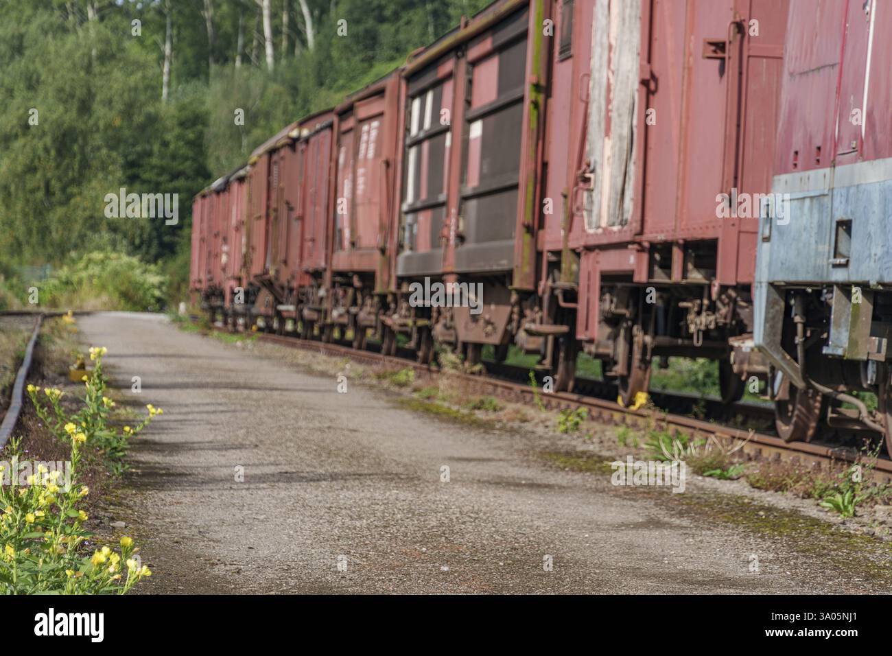 Old red goods wagons on a railway track in a rural setting, Bochum ...