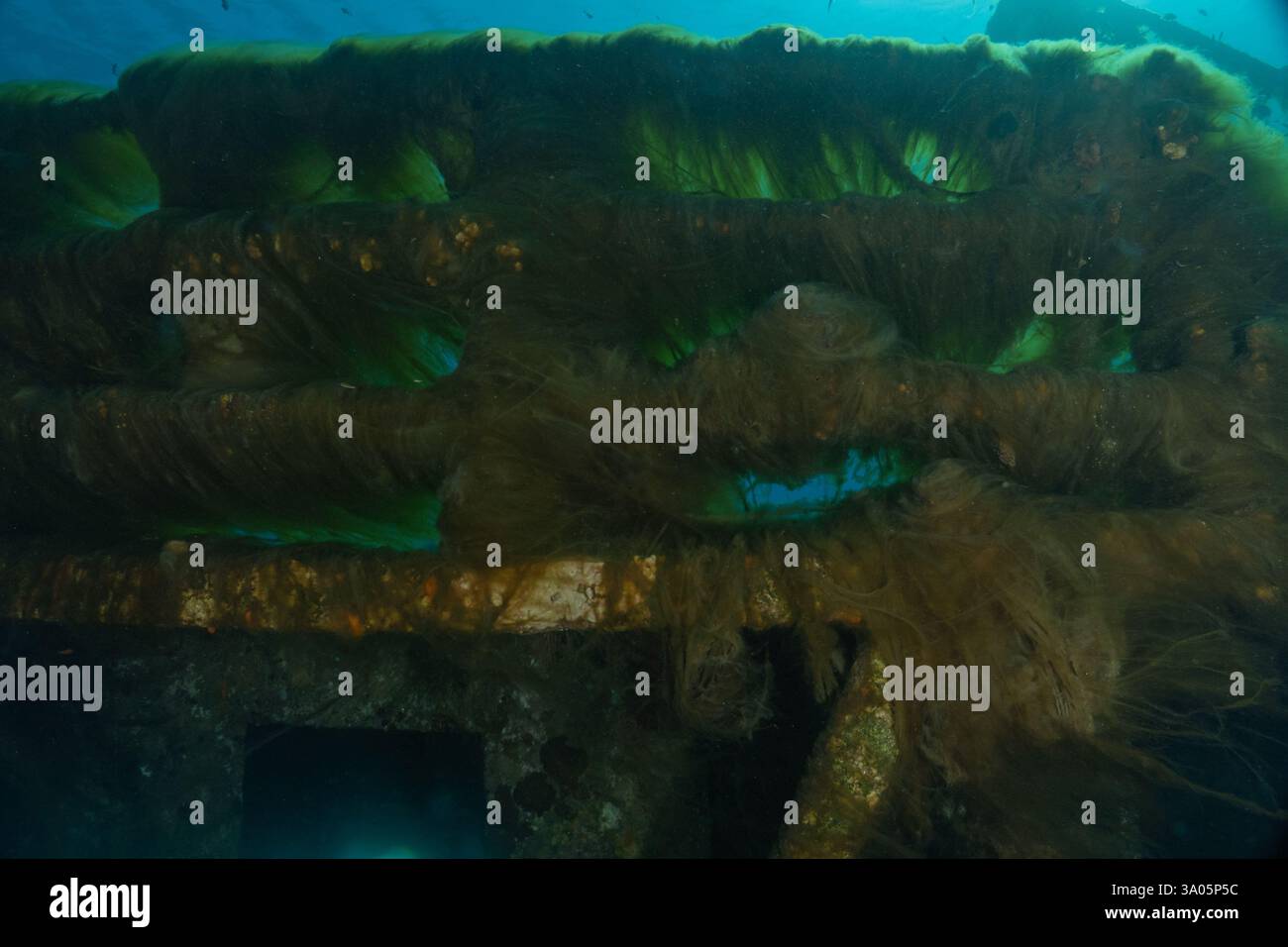 Sea pollution in metals and other garbage in the Red Sea Stock Photo ...