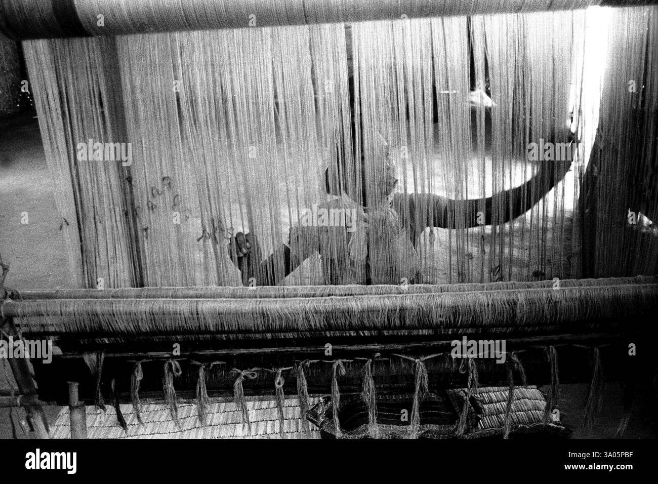 Assam weave hi-res stock photography and images - Alamy