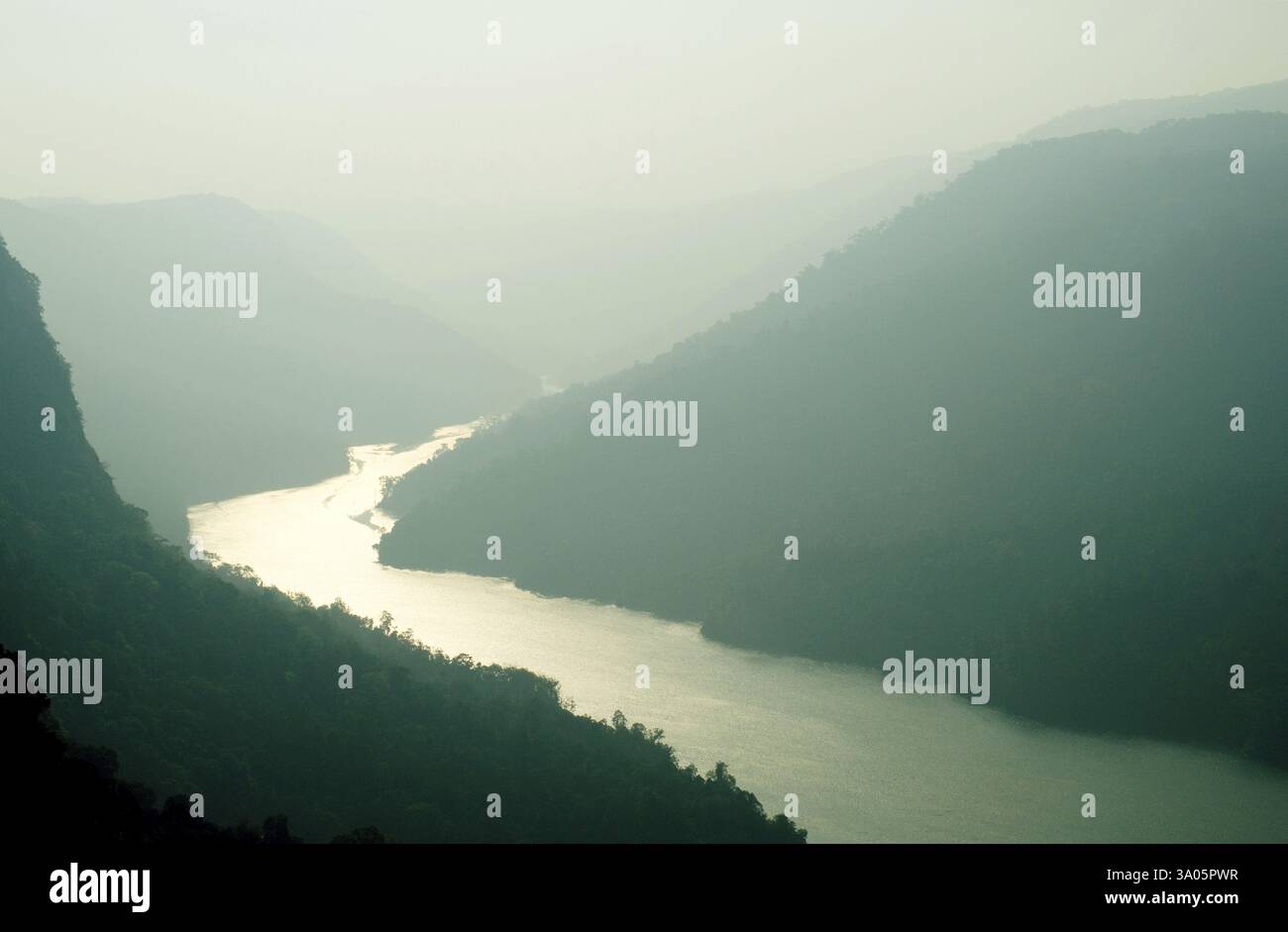 River sharavati at sharavati valley wildlife sanctuary, Shivamoga ...