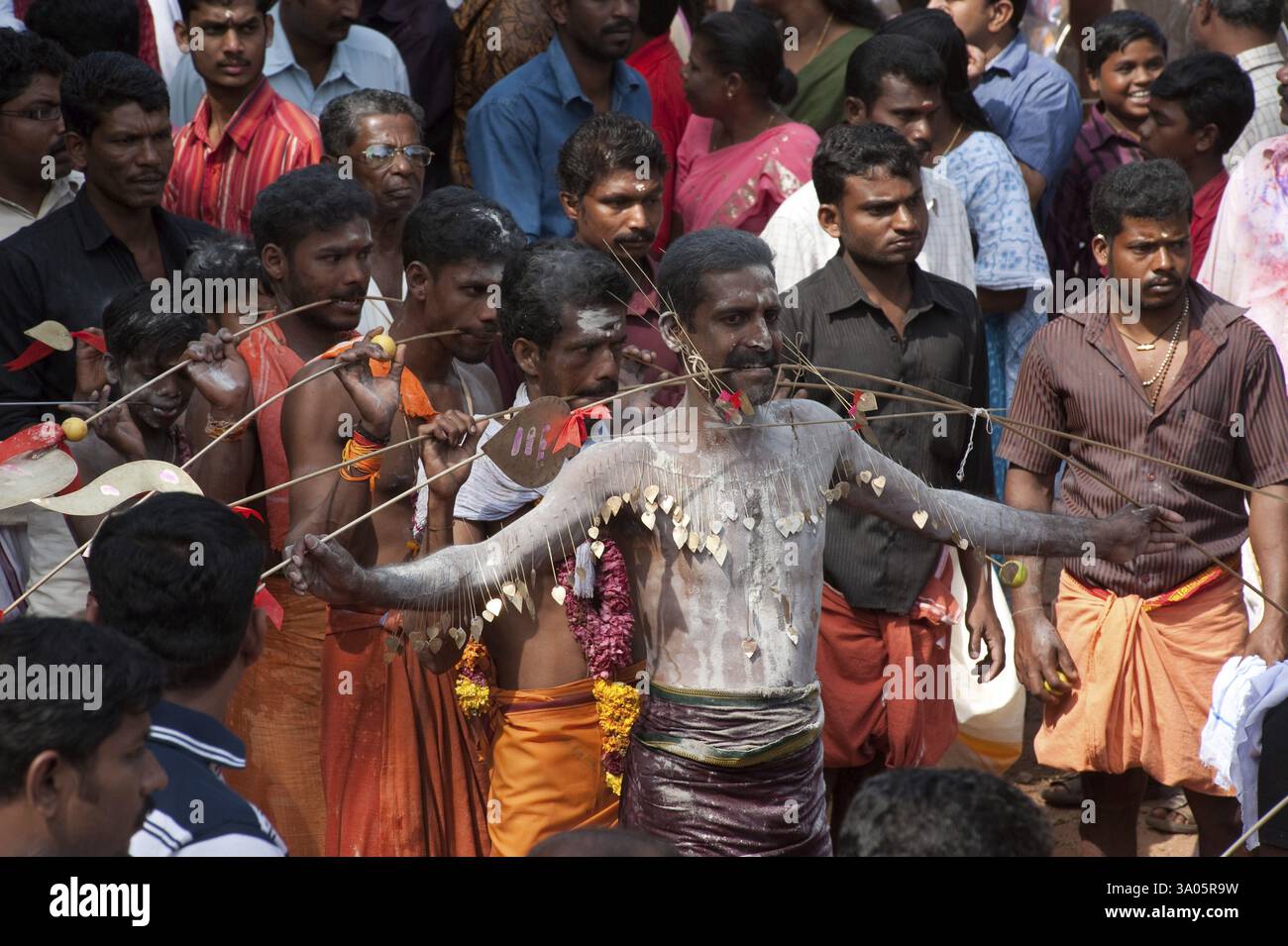 Devotees piercing body with skewers holding trident in mouth in ...