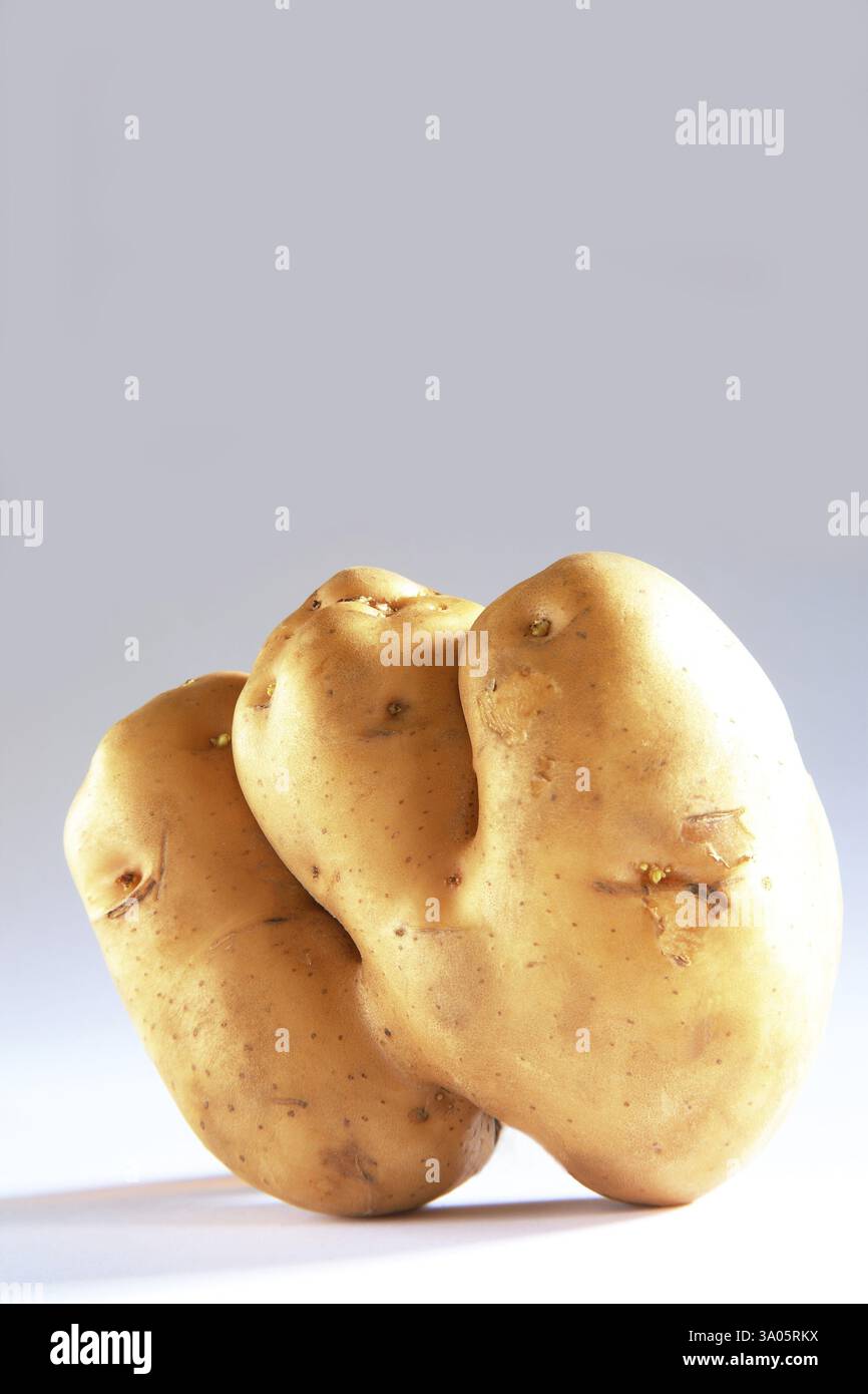 Vegetables, potatoes aloo male female concept figure on white ...