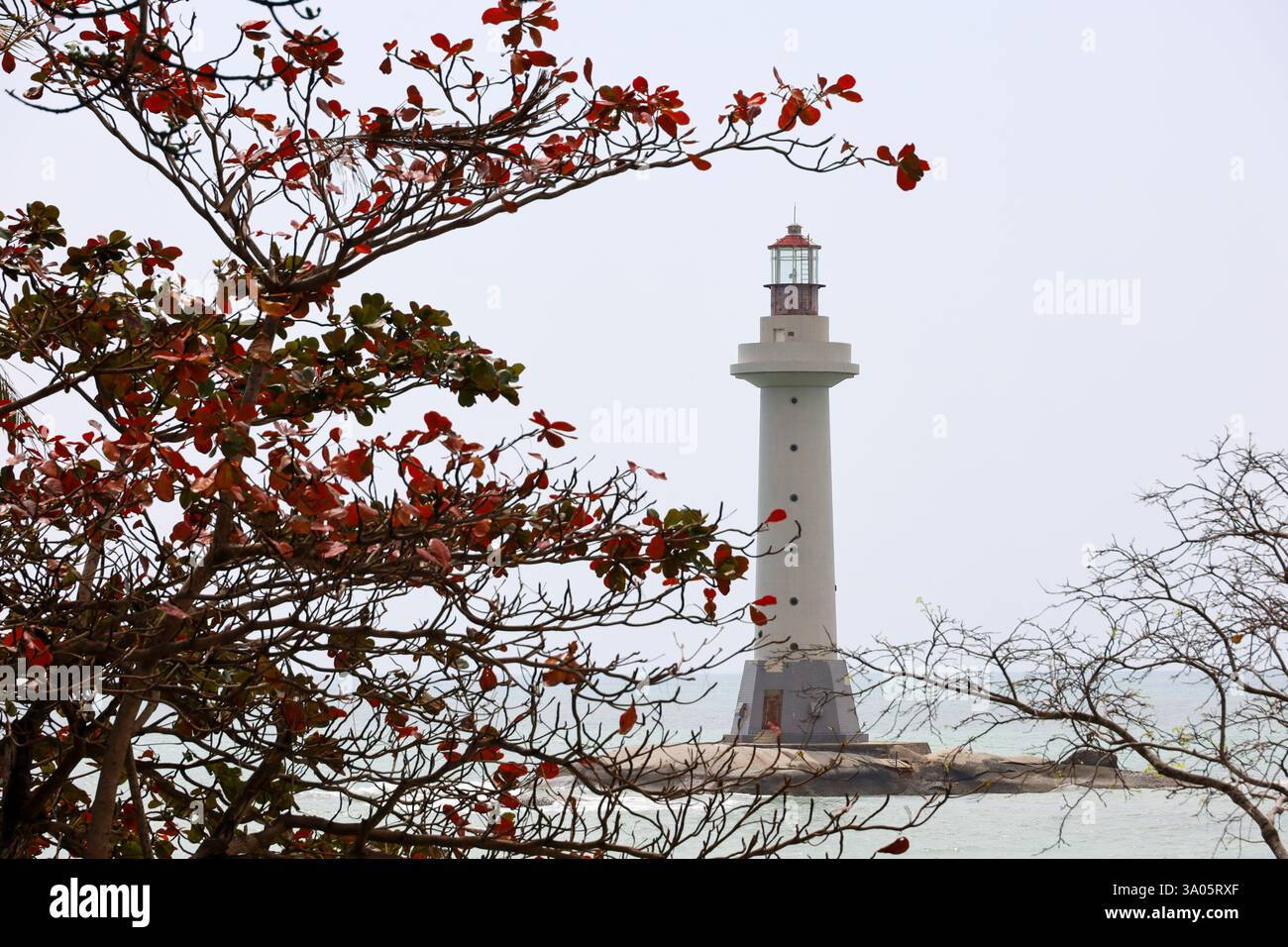View to lighthouse on a rock island in a sea through tree leaves Stock ...
