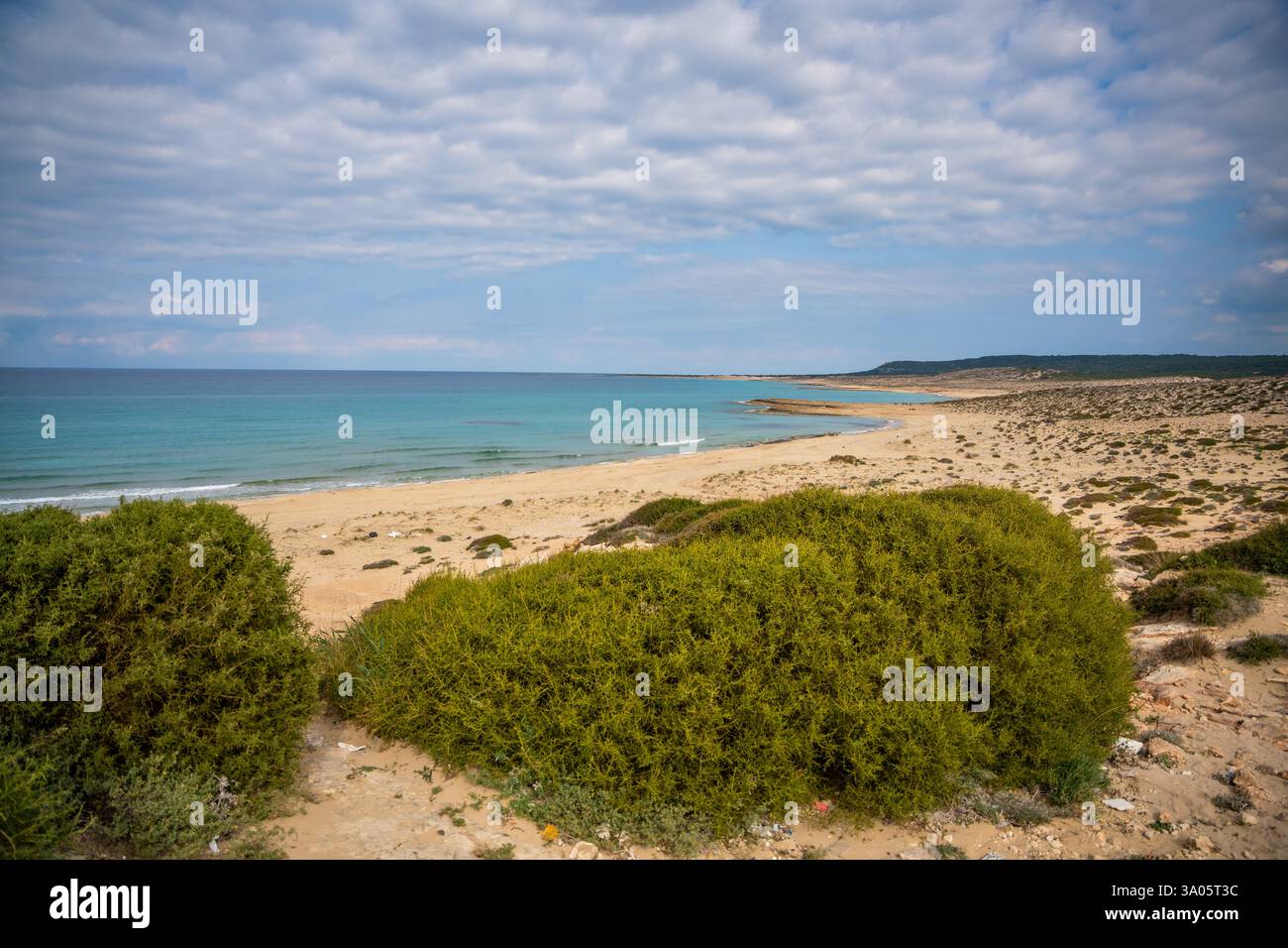 A wild, untouched beach on the northern coast of Cyprus, known as a ...