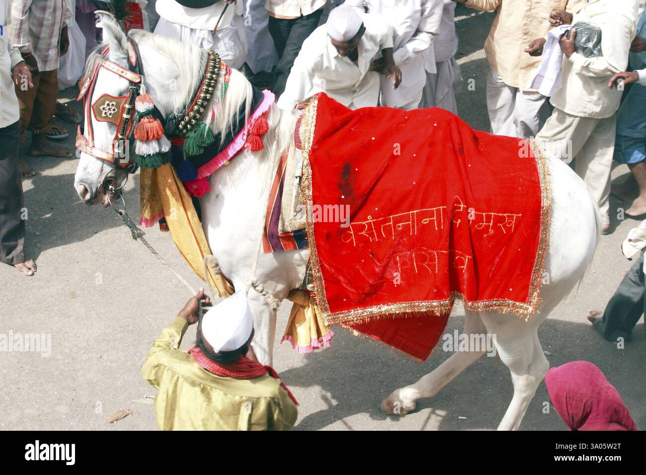Varkari worshiping horse in Pandharpur on occasion of Ashadhi Ekadashi ...