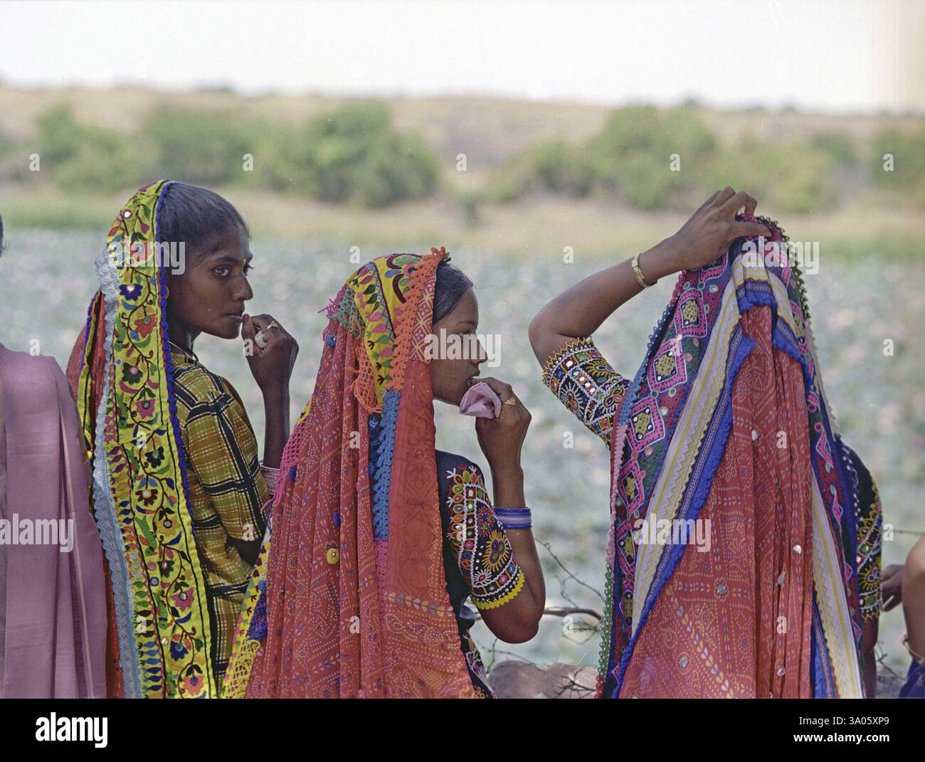 Women, Tarnetar Fare, Gujarat, India, Asia Stock Photo - Alamy