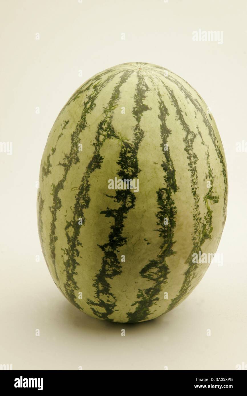 Fruits, Two full watermelons with light and dark green stripes watery ...