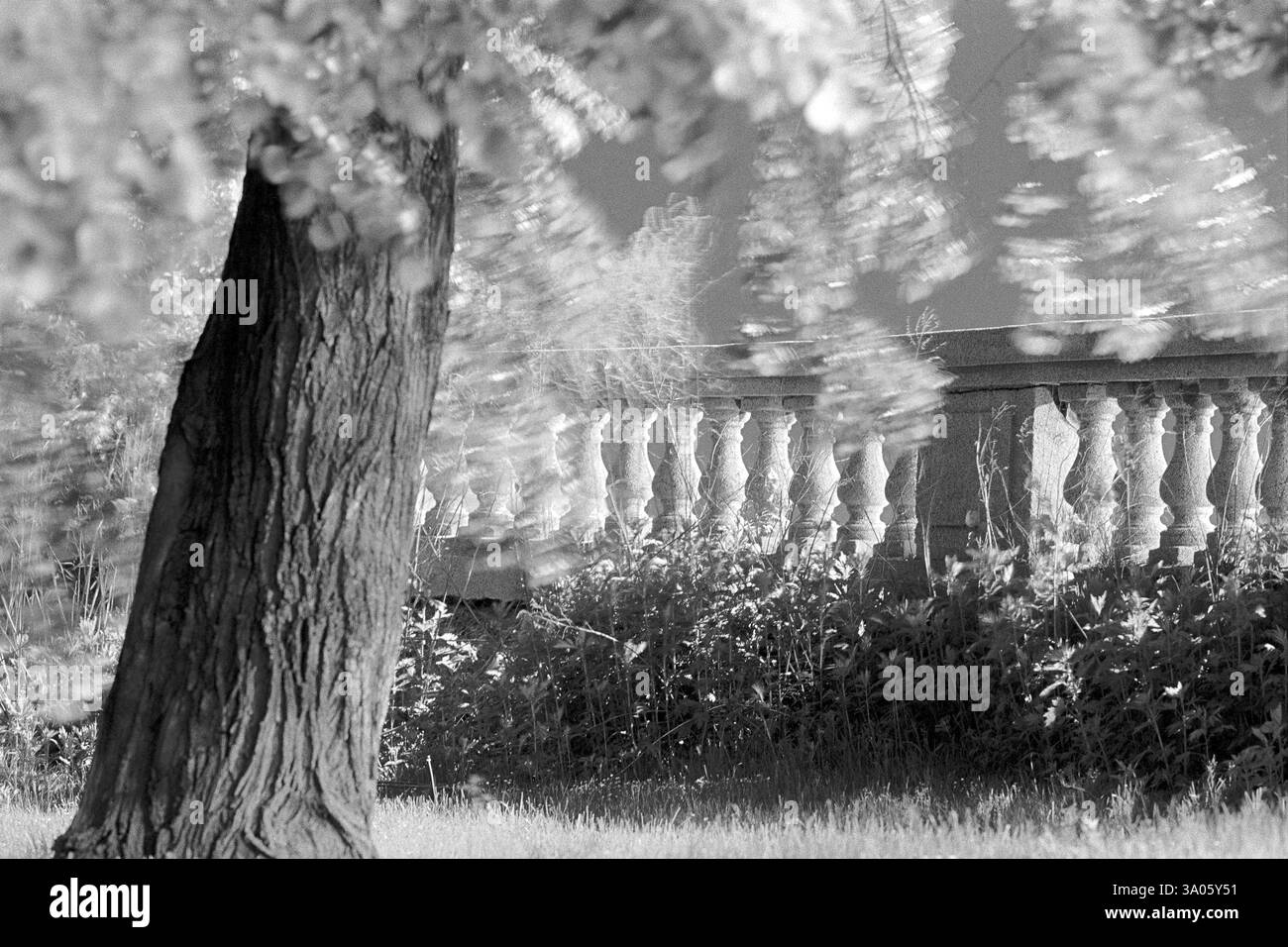 Air wind leaves Black and White Stock Photos & Images - Alamy