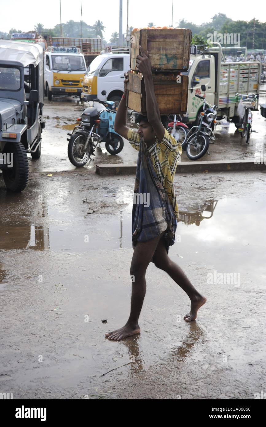 Man carrying boxes, Thanjavur, Tamil Nadu, India, Asia Stock Photo - Alamy