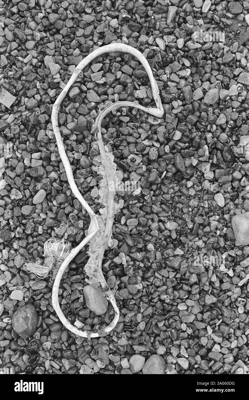 Black fine art objects hi-res stock photography and images - Alamy