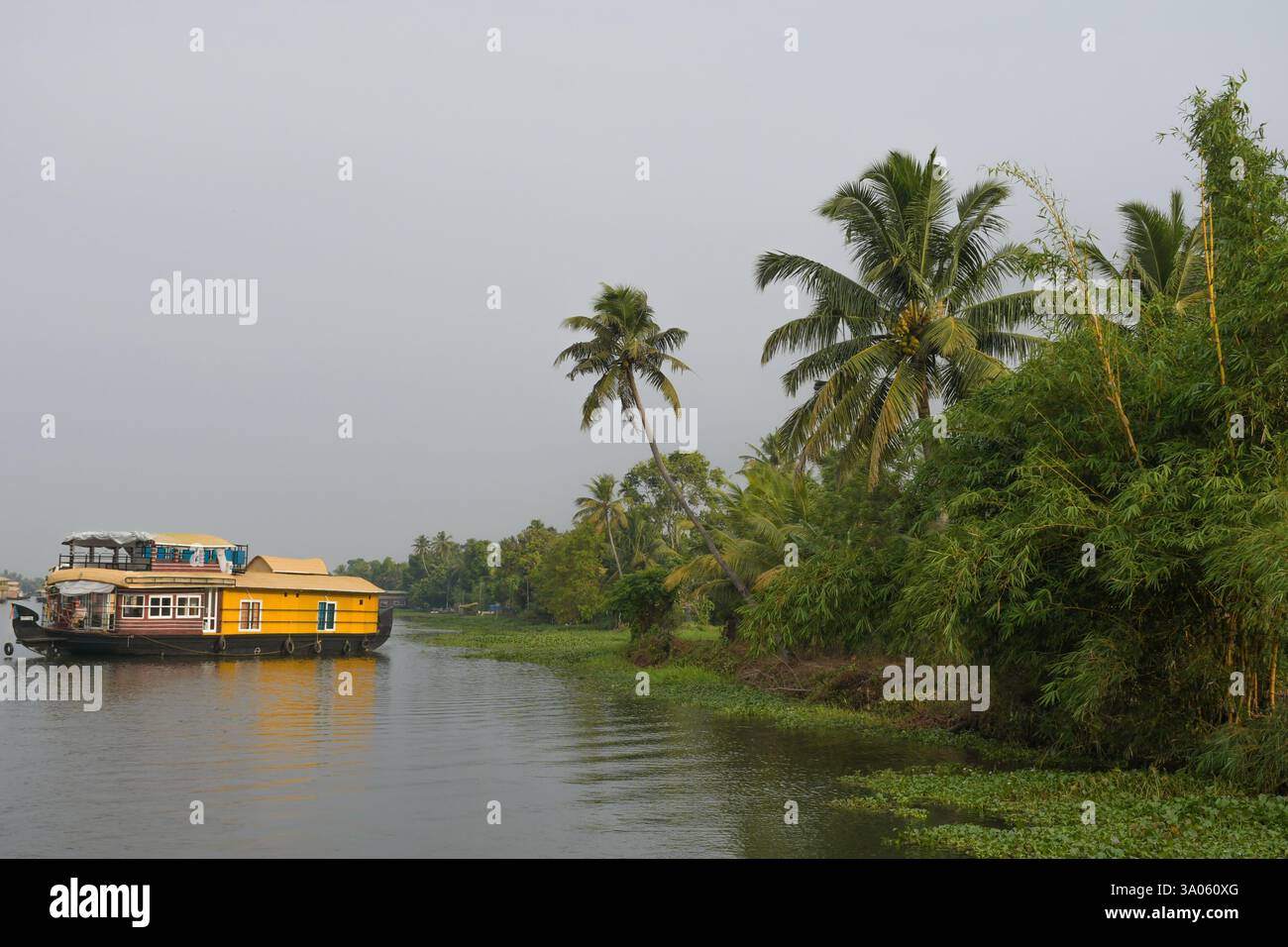 Houseboat in Kerala backwater sailing through the canals in Alappuzha ...