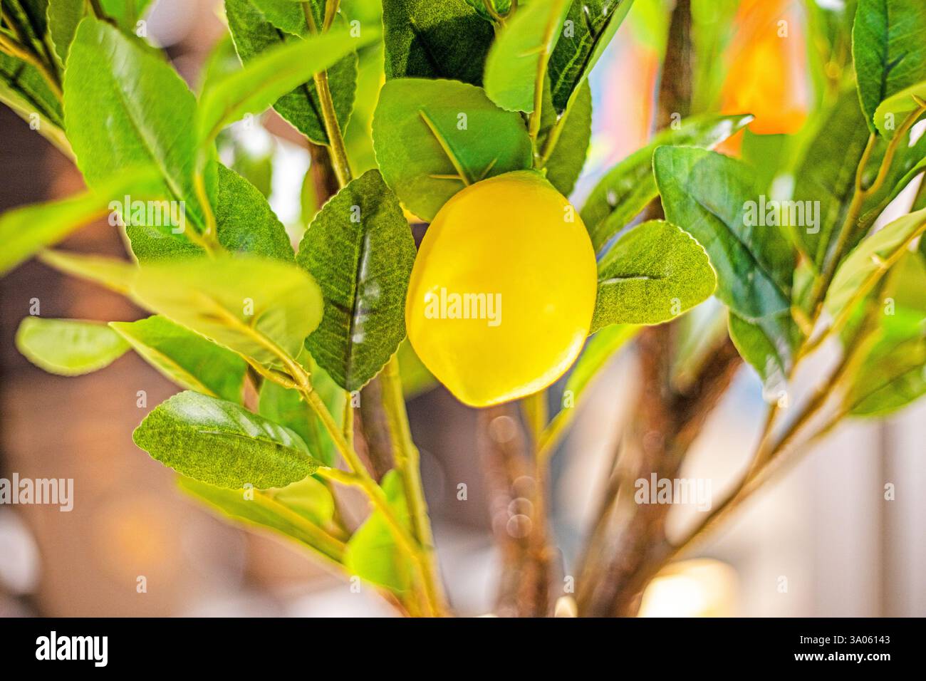 Timeless statement in the garden hi-res stock photography and images ...
