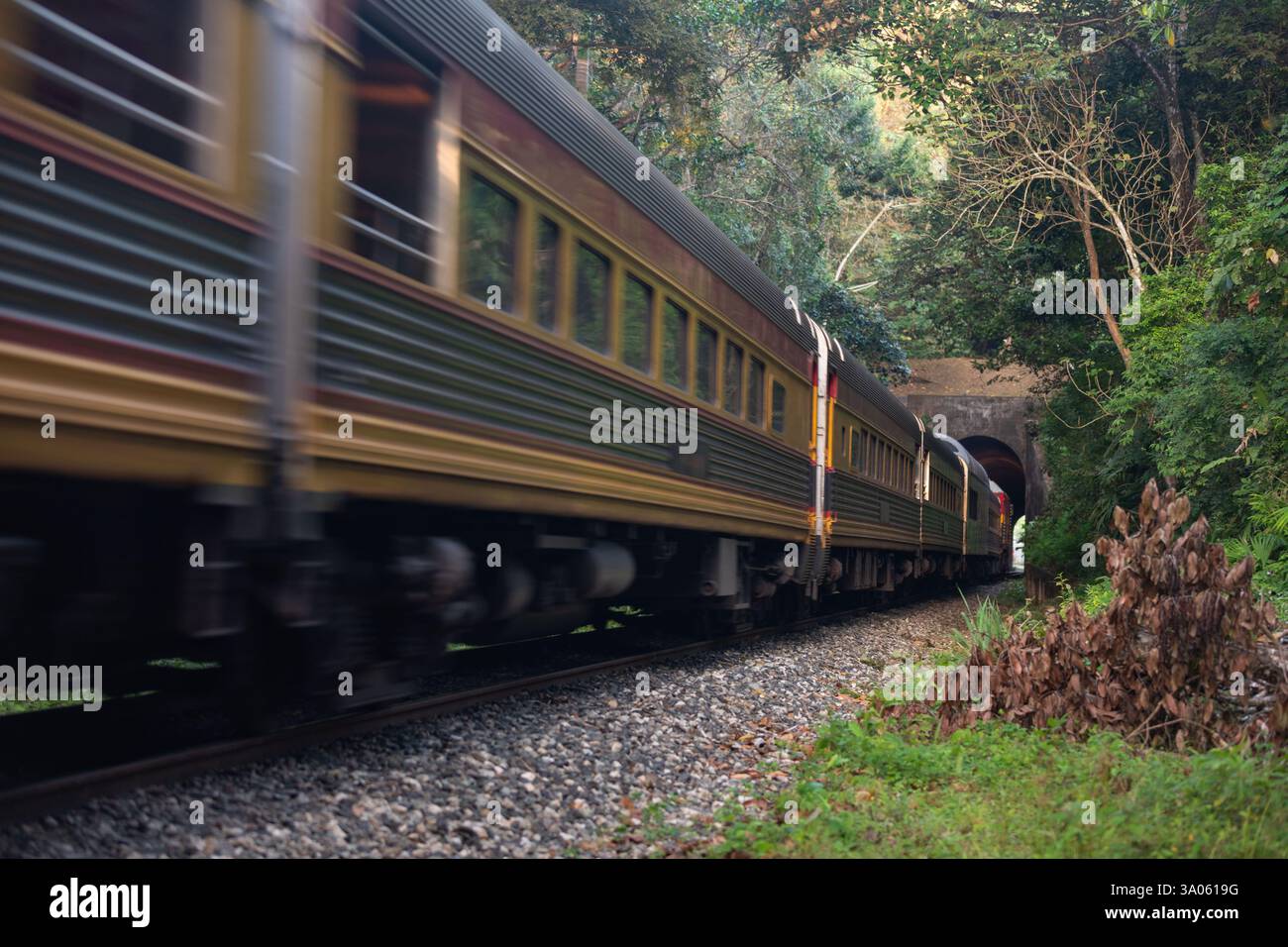 January 30, 2025, Panama, PANAMA: The Panama Canal Railway is one of ...
