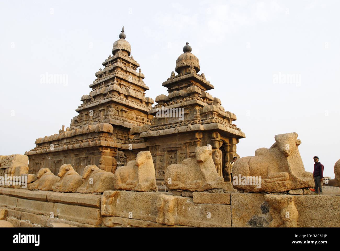 The shore temple in Mahabalipuram, Tamil Nadu, India, Asia Stock Photo ...