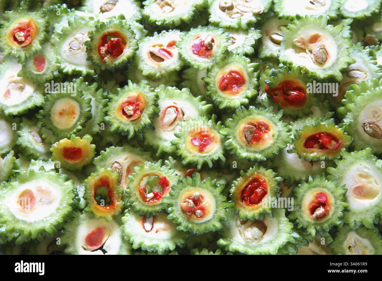 Green vegetable, slices of karela bitter gourd momordica charantia ...