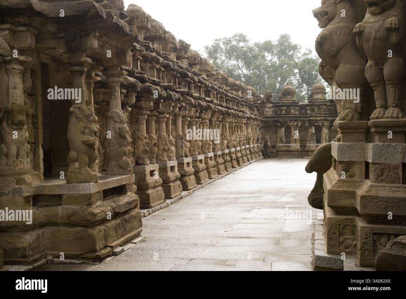 Kailasanatha temple in sandstones built by Pallava king Narasimhavarman ...