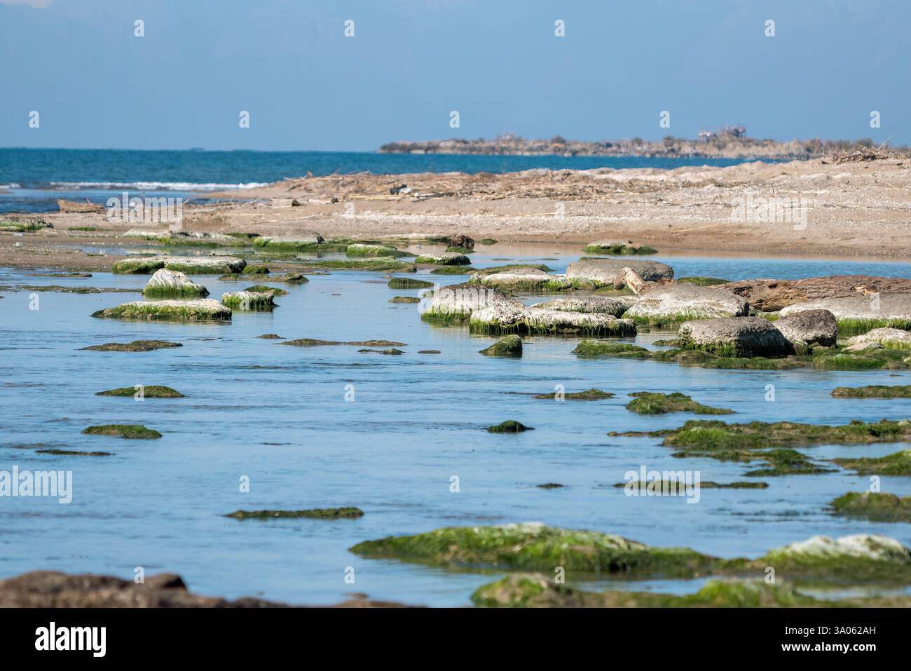 Moss covered rock ocean hi-res stock photography and images - Alamy