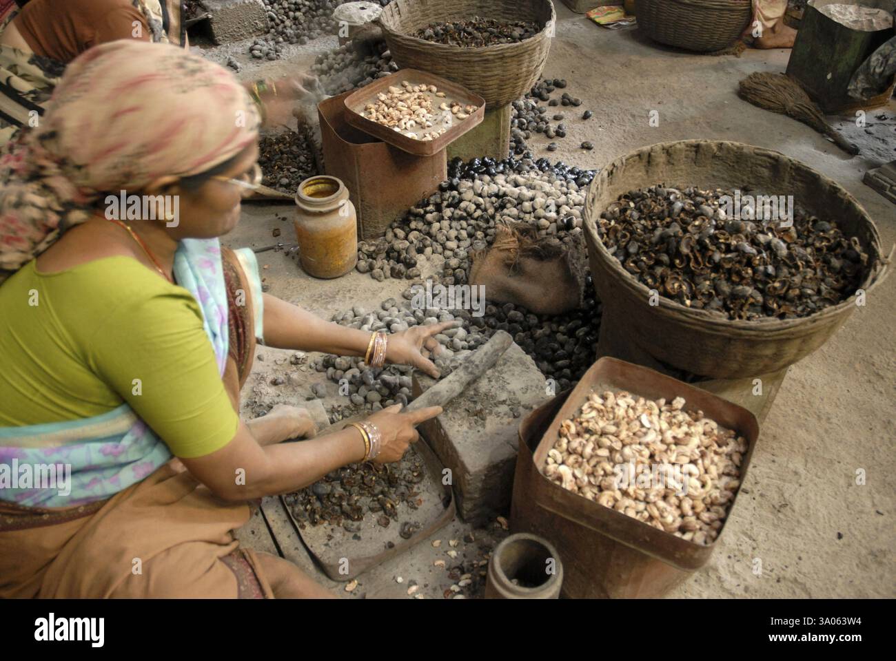 Female worker at cashew nut factory at Devgarh, Konkan, Maharashtra ...