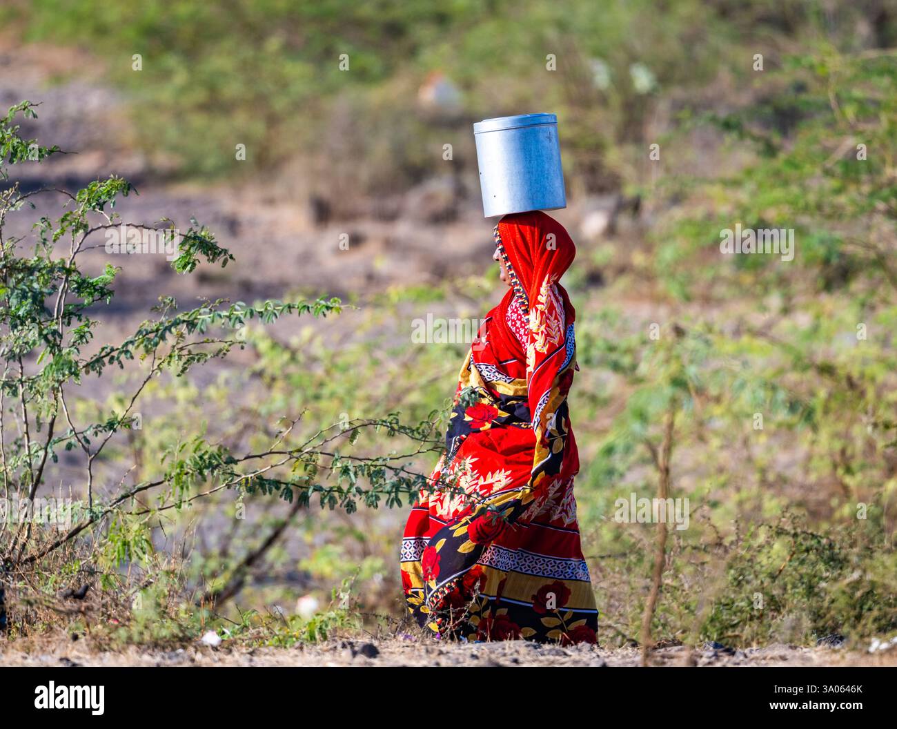 An Indian woman in red sari walking with a metal bucket on top of her ...