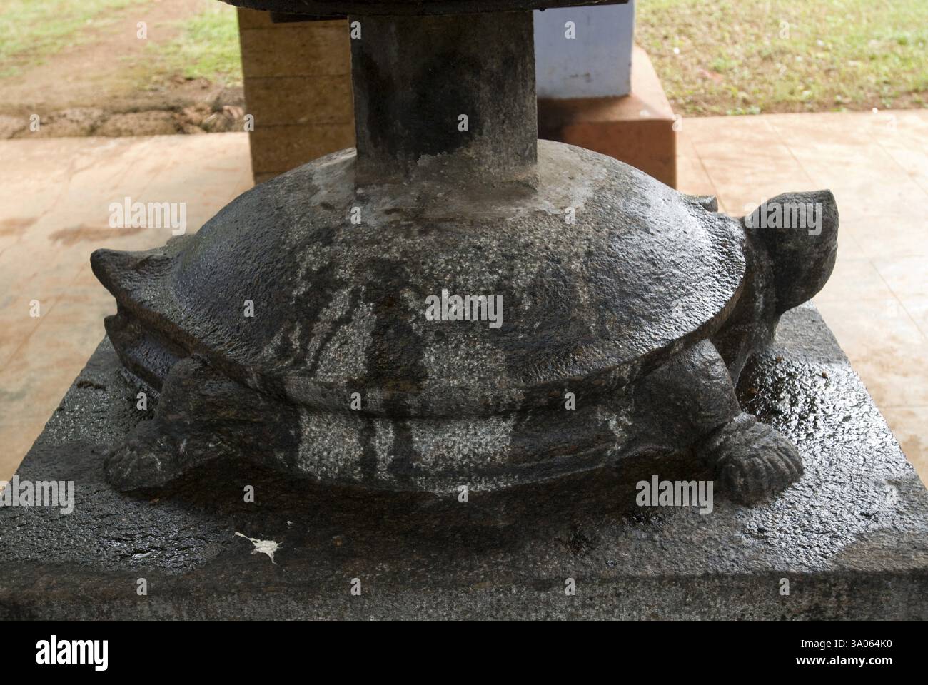 Temple flag mast standing on a tortoise in Chemmanthatta Mahadeva ...