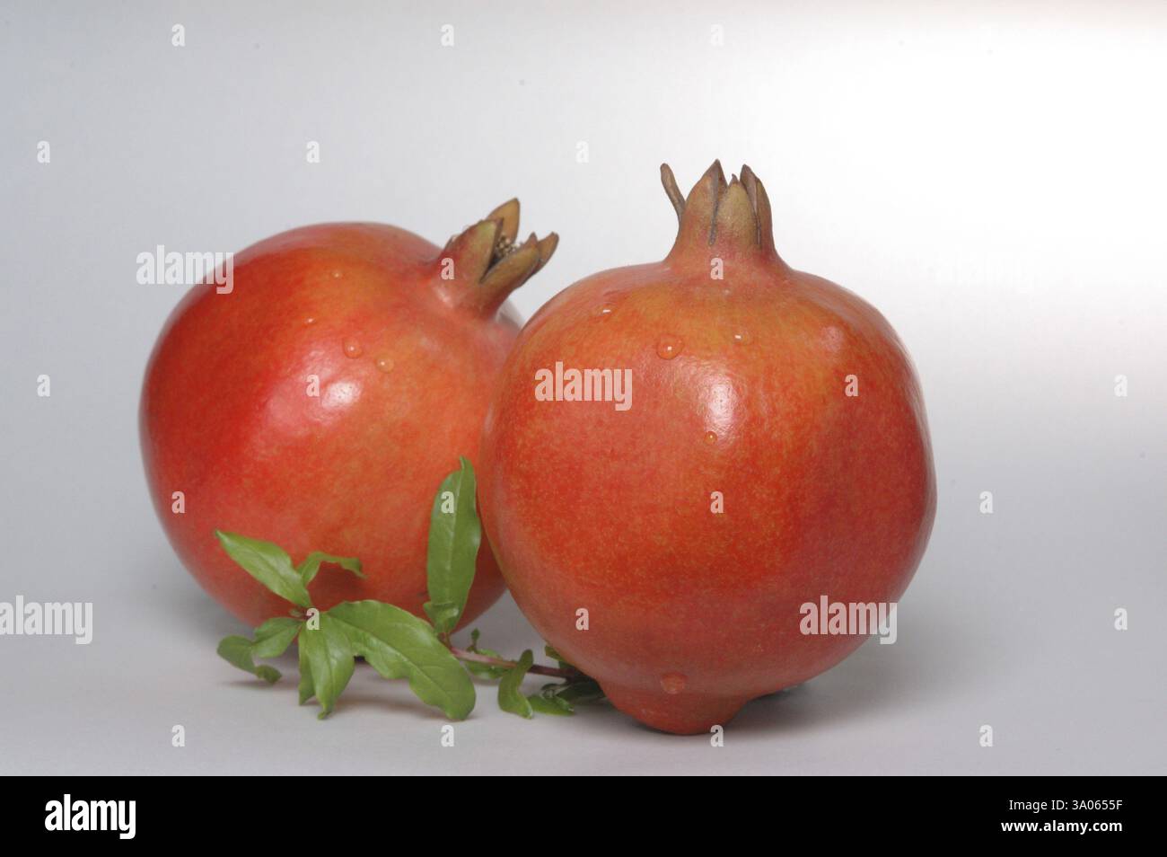 Food, Pomegranate Dalim (Punica granatum Linn Stock Photo - Alamy