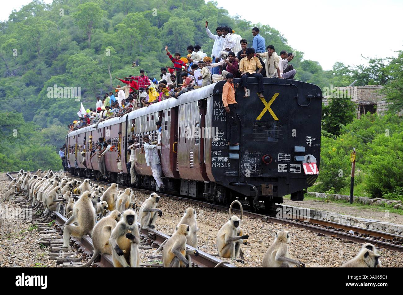 People taking risk while travelling on roof of train lots of monkeys ...