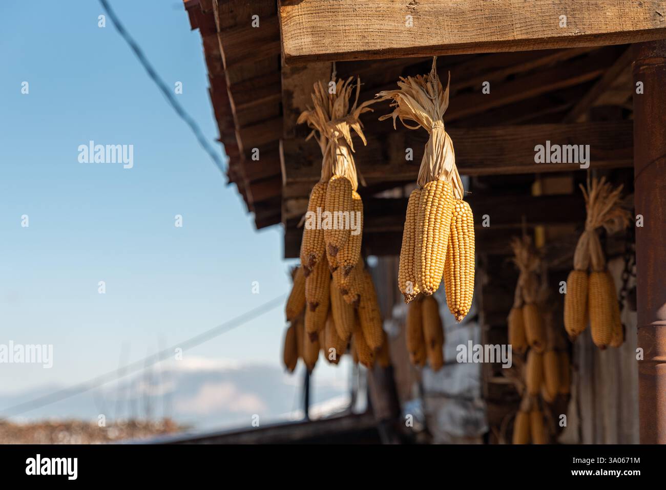 Woodenroof hi-res stock photography and images - Alamy