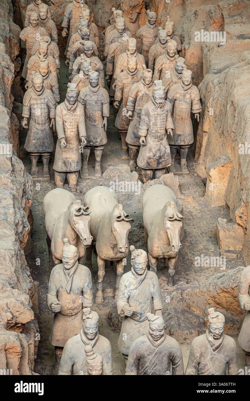 Excavated sculptures statues of the terracota army soldiers and horses ...