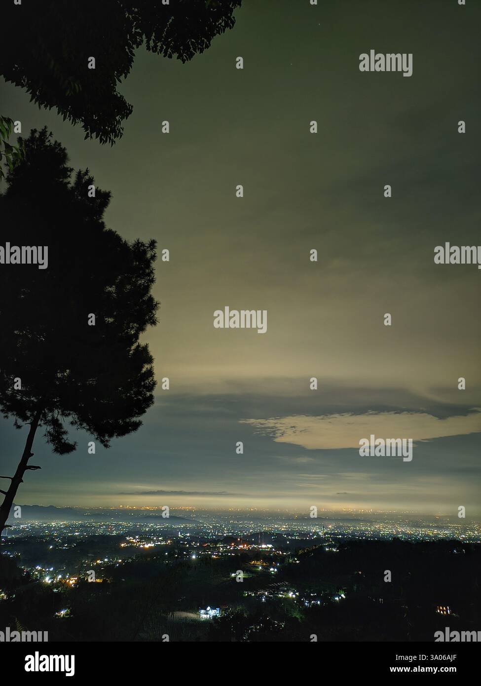 A tranquil night cityscape unfolds from a peaceful hillside. The urban skyline glows softly ...