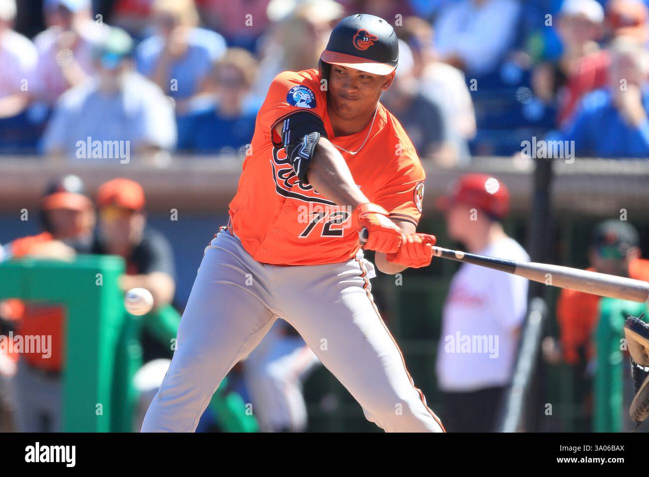 CLEARWATER, FL - MARCH 02: Baltimore Orioles DH Samuel Basallo (72) at ...