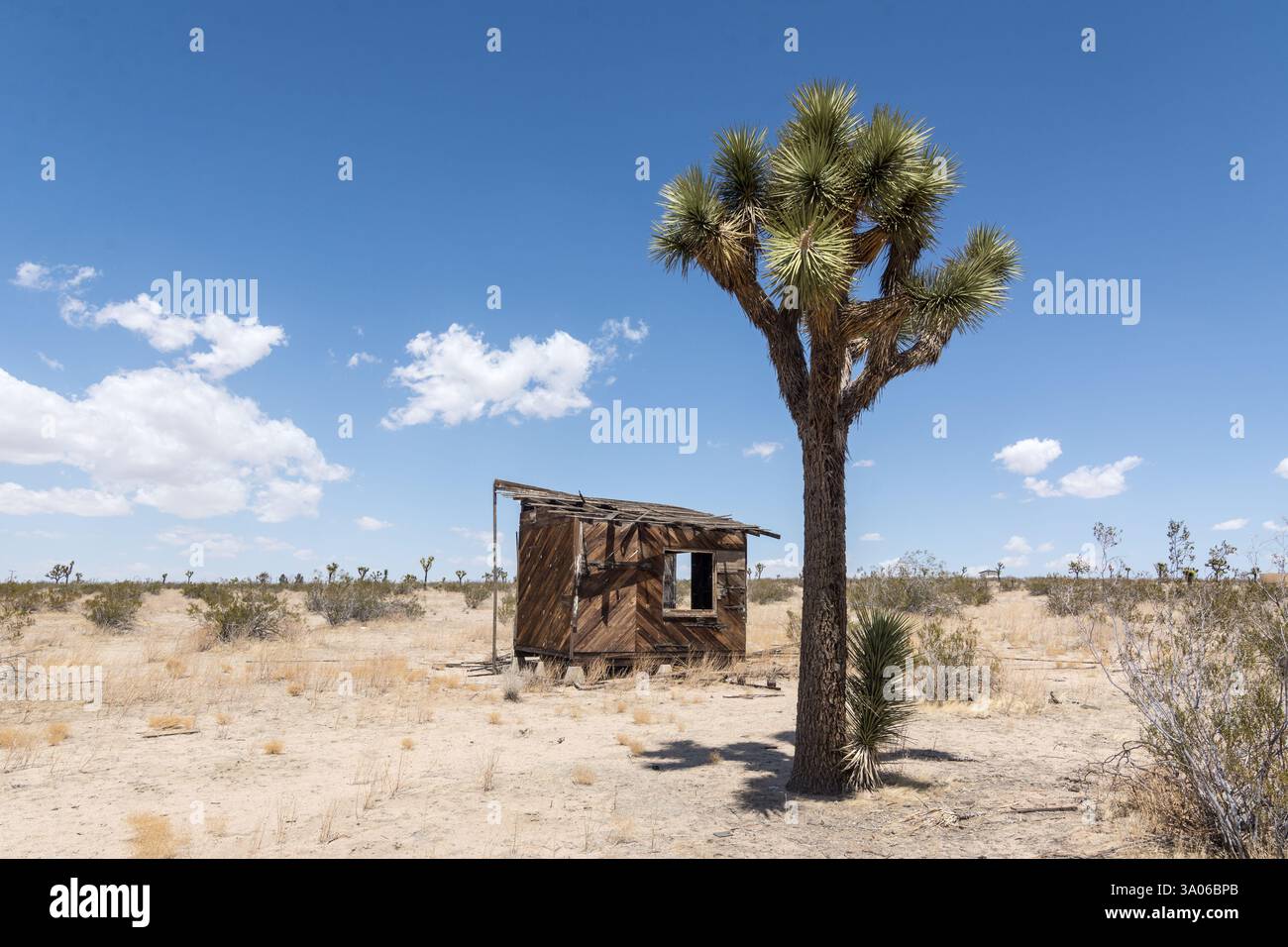 Old homesteads are scattered across California's Mojave desert, where ...