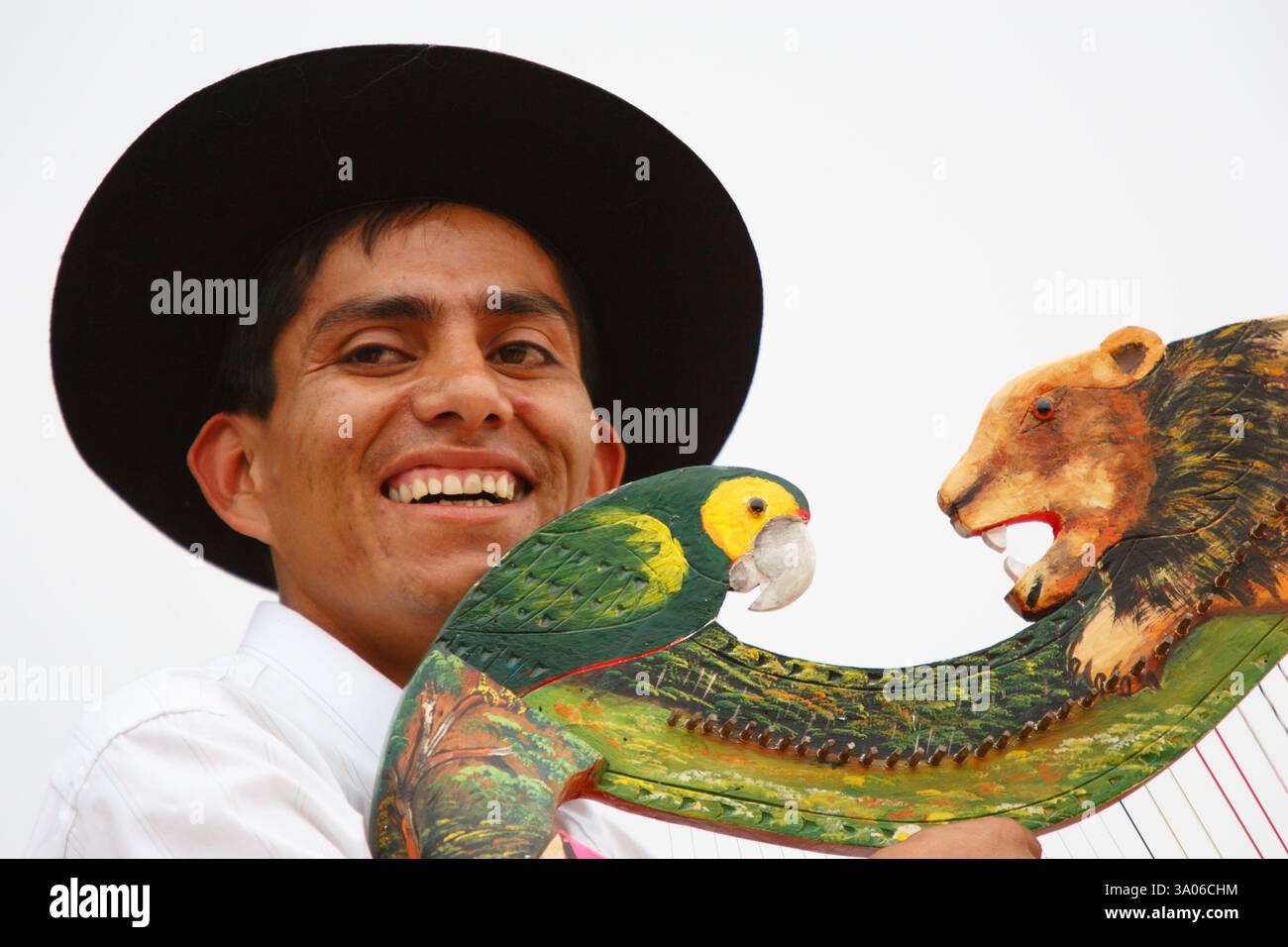 Harp editorial only hi-res stock photography and images - Alamy