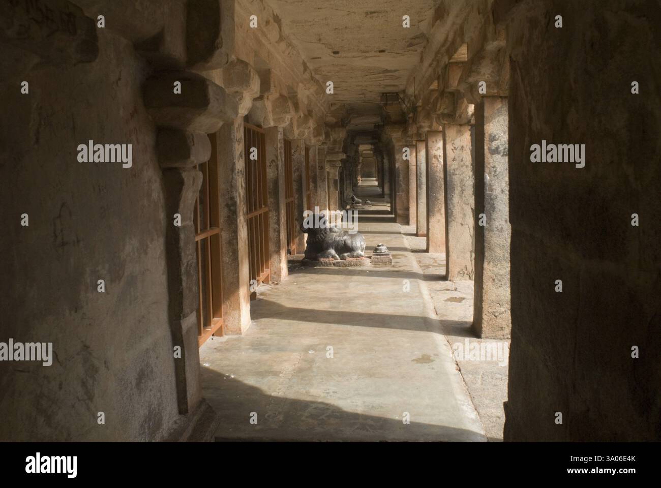Inside Structure and Statue of Nandin or Bull In Brihadeshwara Temple ...