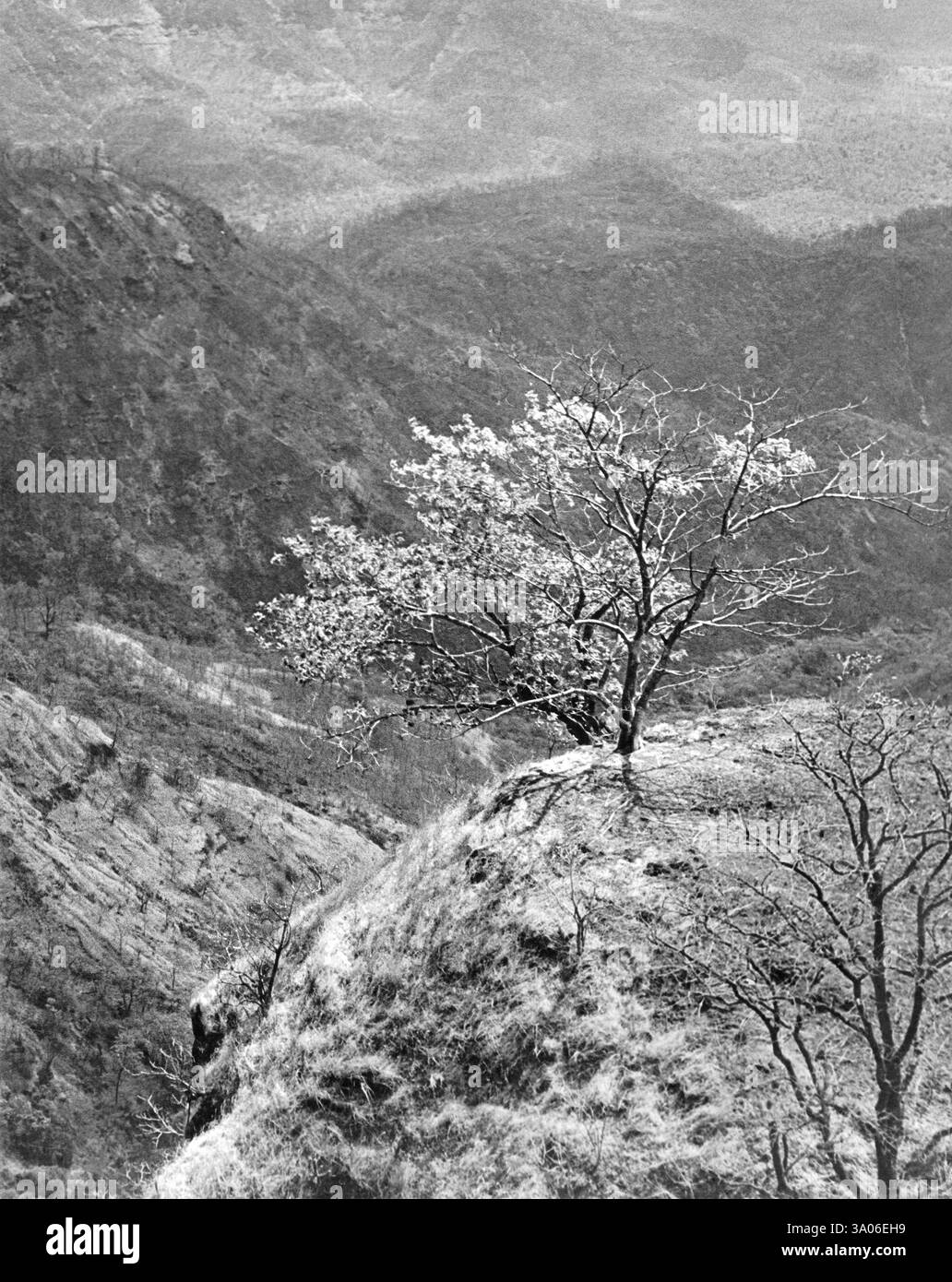 Landscape of Mahouli hills, Bombay Mumbai, Maharashtra, India 1940's ...