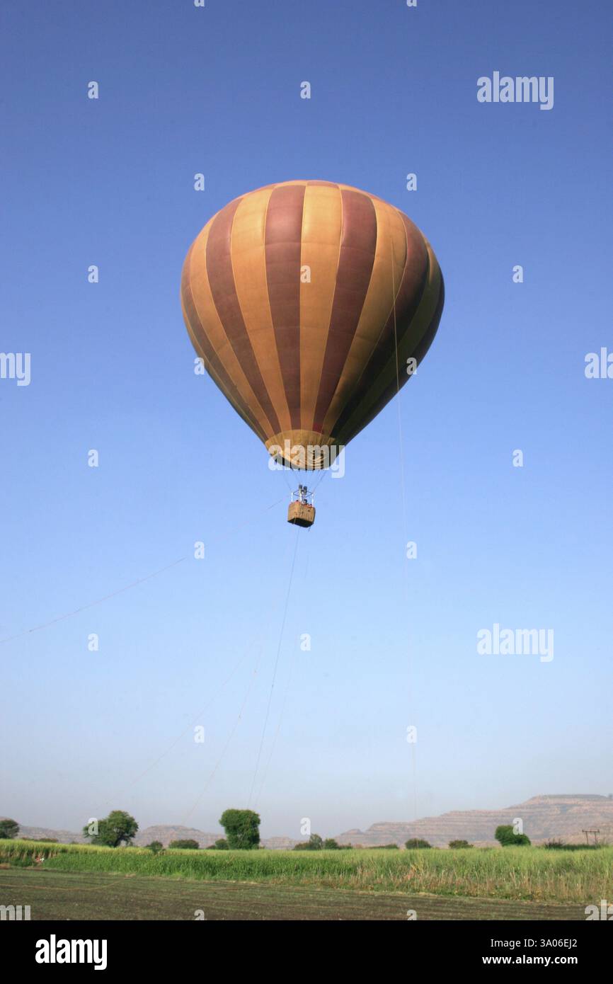 Brown coloured striped hot air balloon flying above sugarcane farms ...