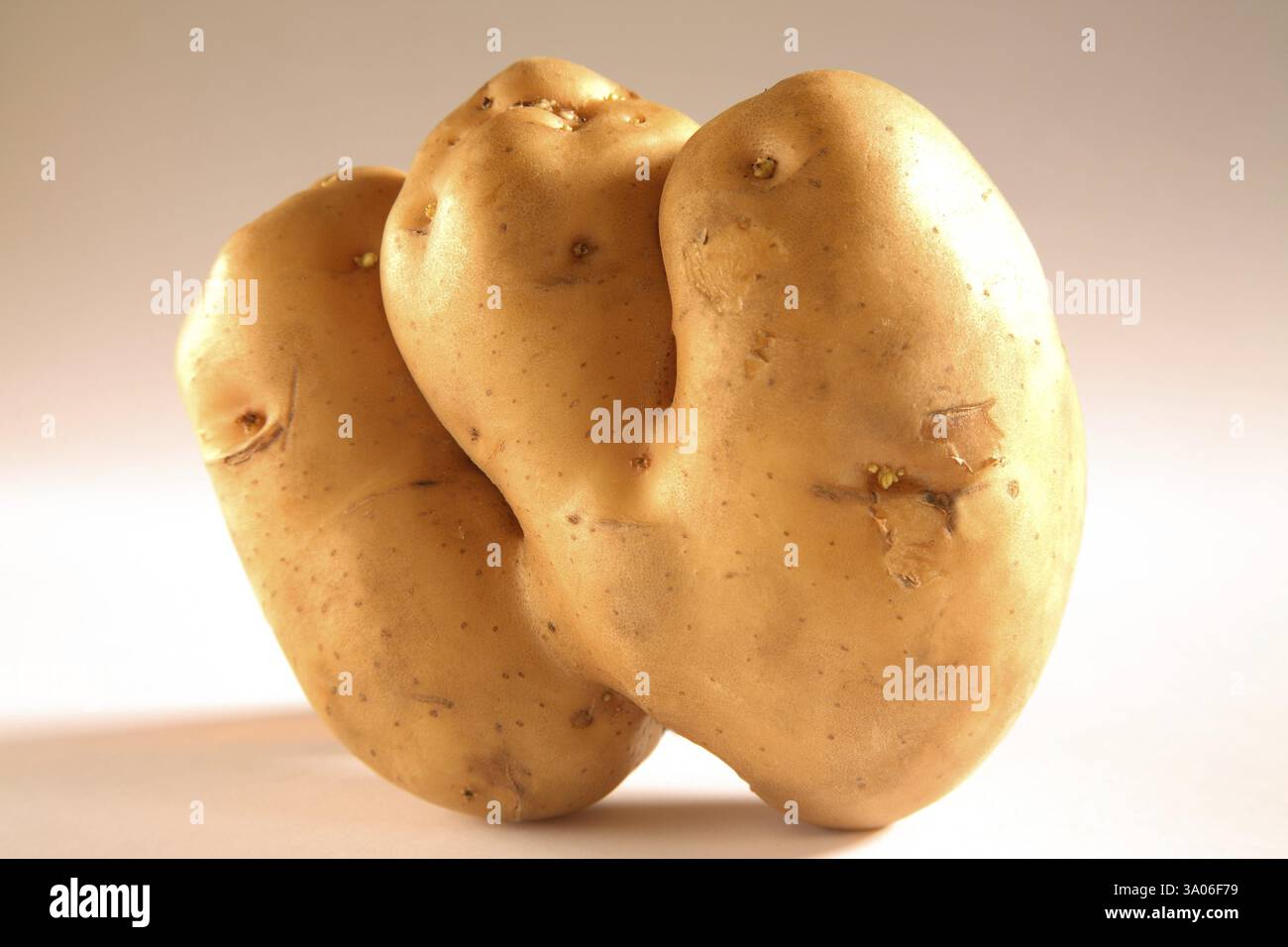 Vegetables, potatoes aloo male female concept figure on white ...