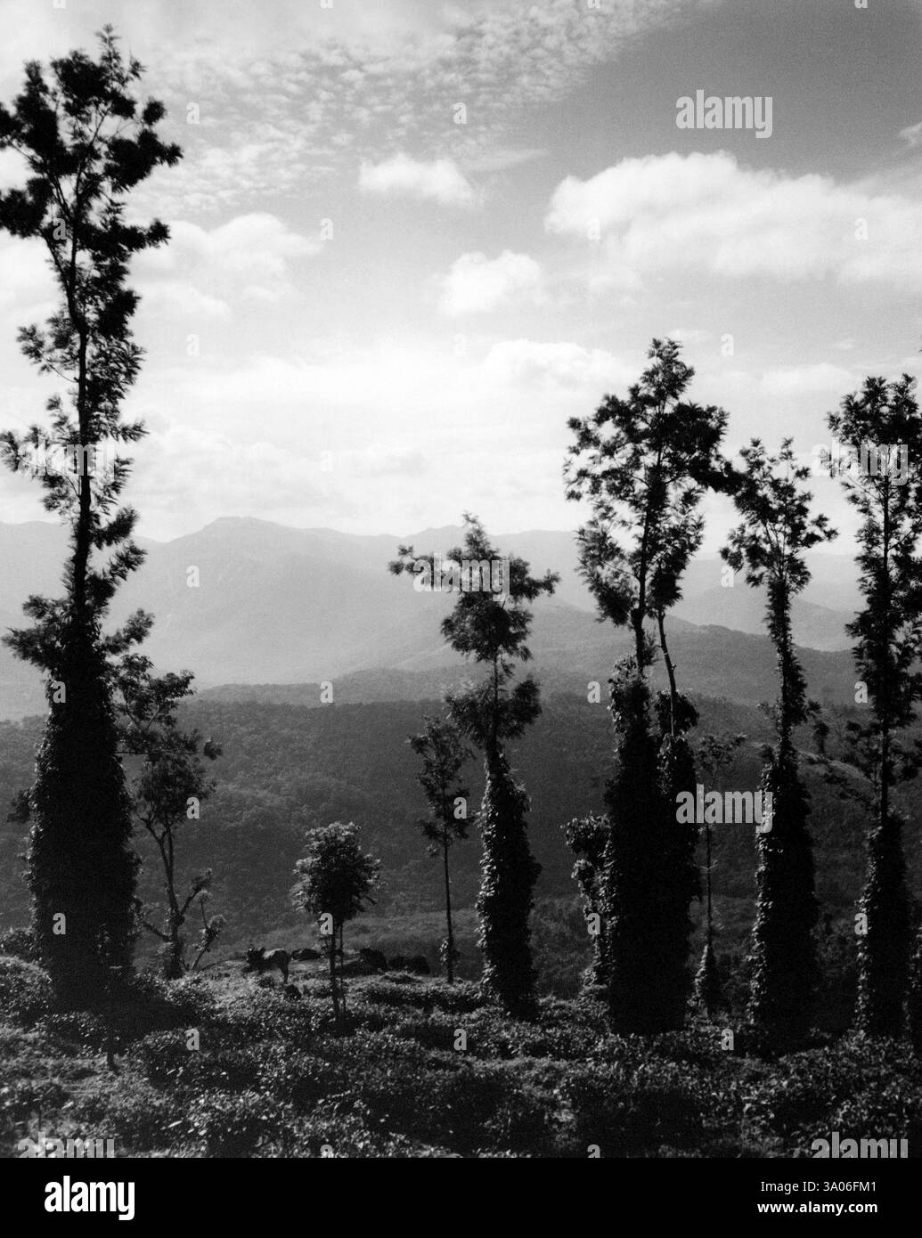 View countryside landscape on Black and White Stock Photos & Images - Alamy