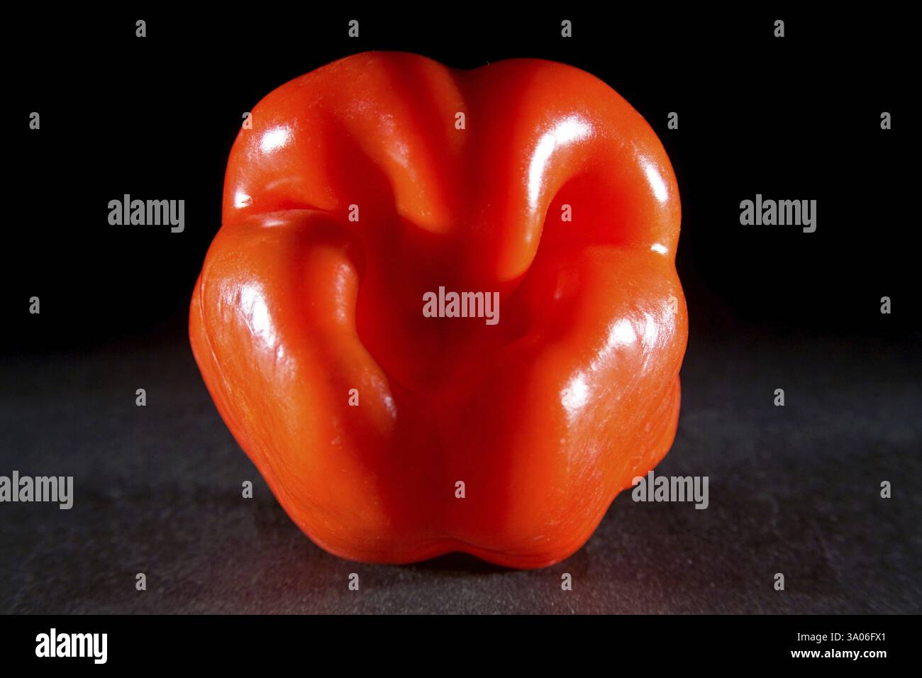 Spices, capsicum shimla mirch capsicum annuum capsicum frutescens on ...